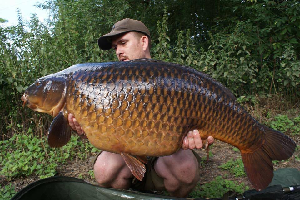 Gallery – Farlows Lake